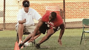 A qualitative assessment tool to identify athletes with high knee ...